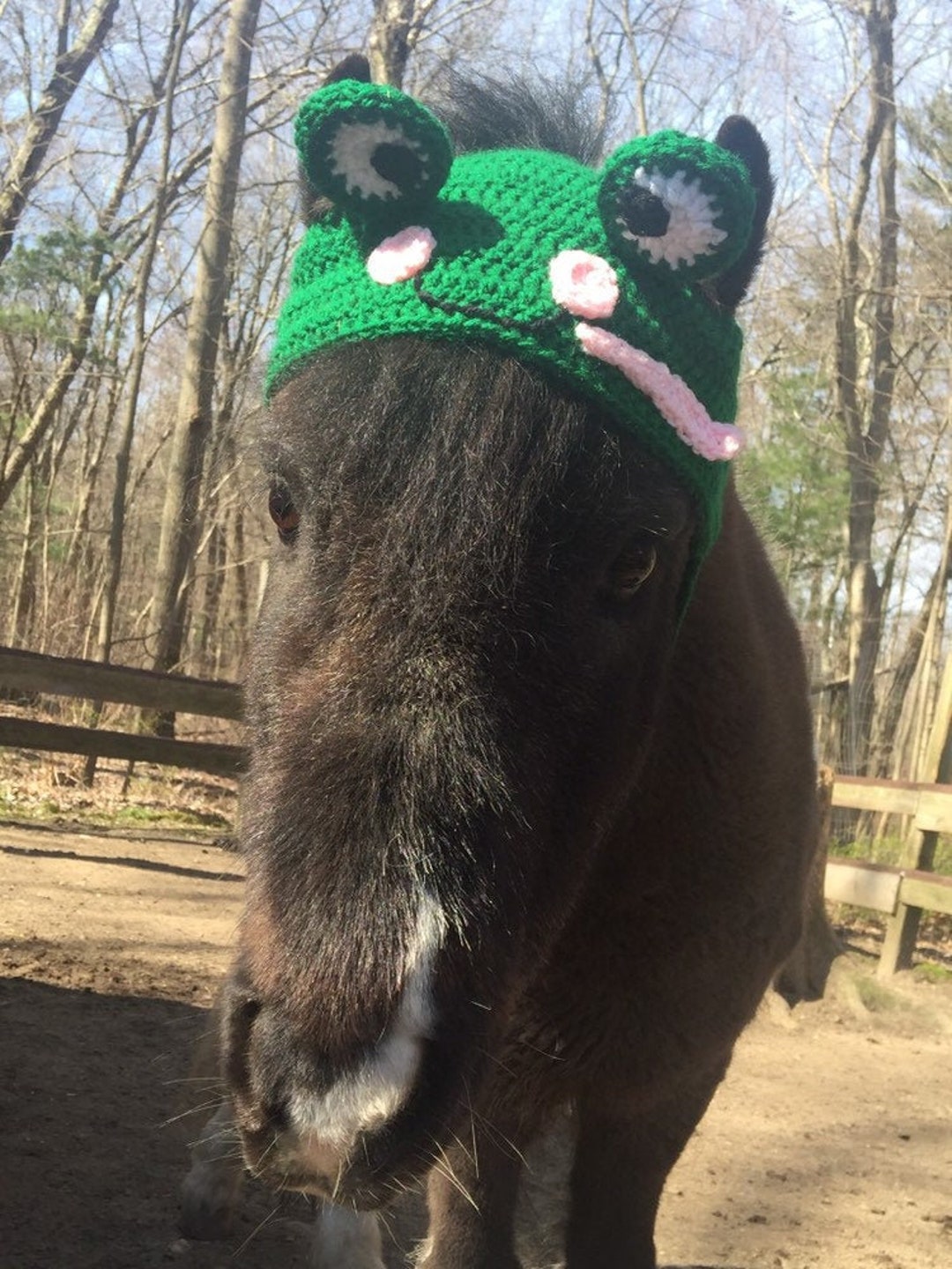 Horse Bonnet - Horse Frog Hat - Horse Clothing - Frog Hat - Equestrian ...