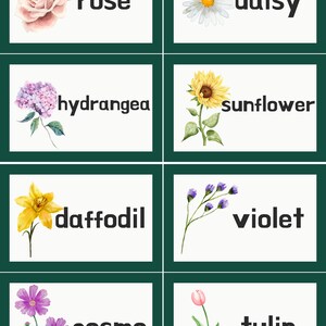 Flower Shop Theme Dramatic Play Preschool/prek - Etsy