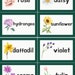 Flower Shop Theme Dramatic Play Preschool/prek - Etsy
