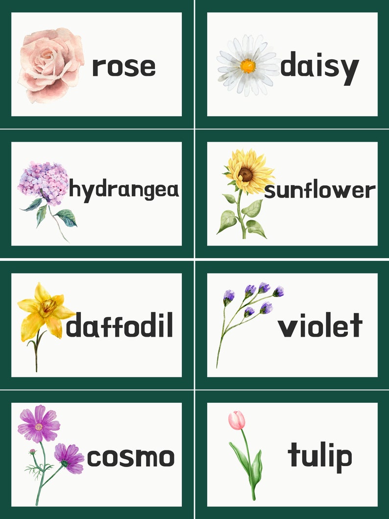 Flower Shop Theme Dramatic Play Preschool/prek - Etsy