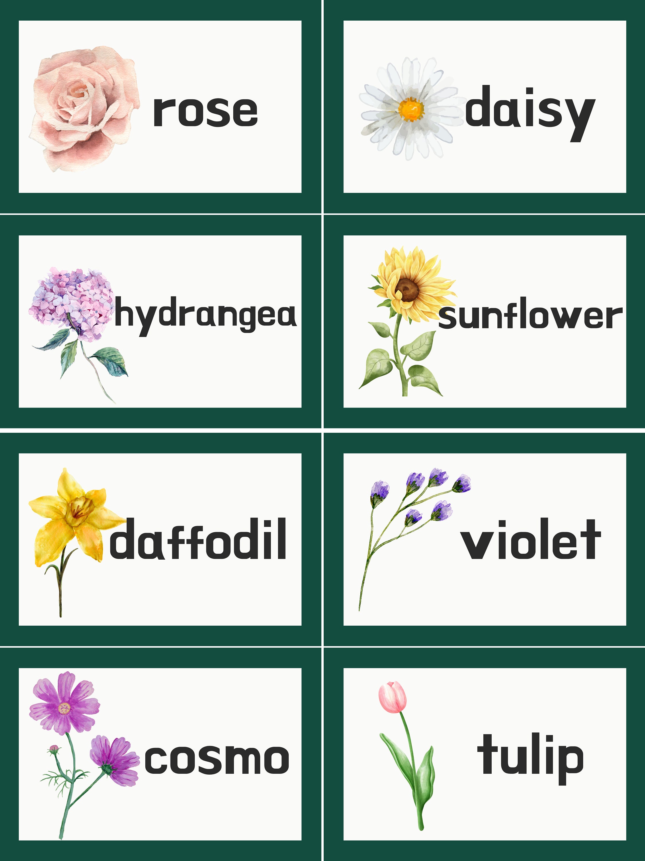 Flower Shop Theme Dramatic Play Preschool/prek - Etsy