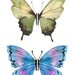 Butterfly Matching Cards - Etsy