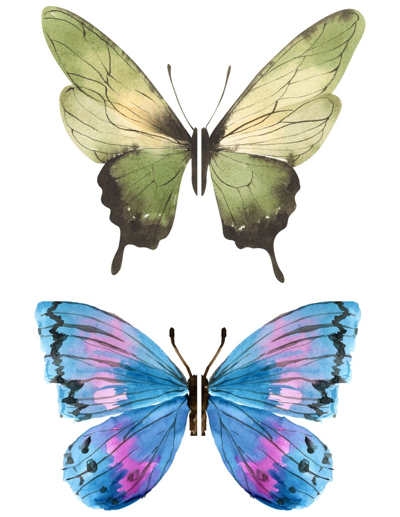 Butterfly Matching Cards - Etsy