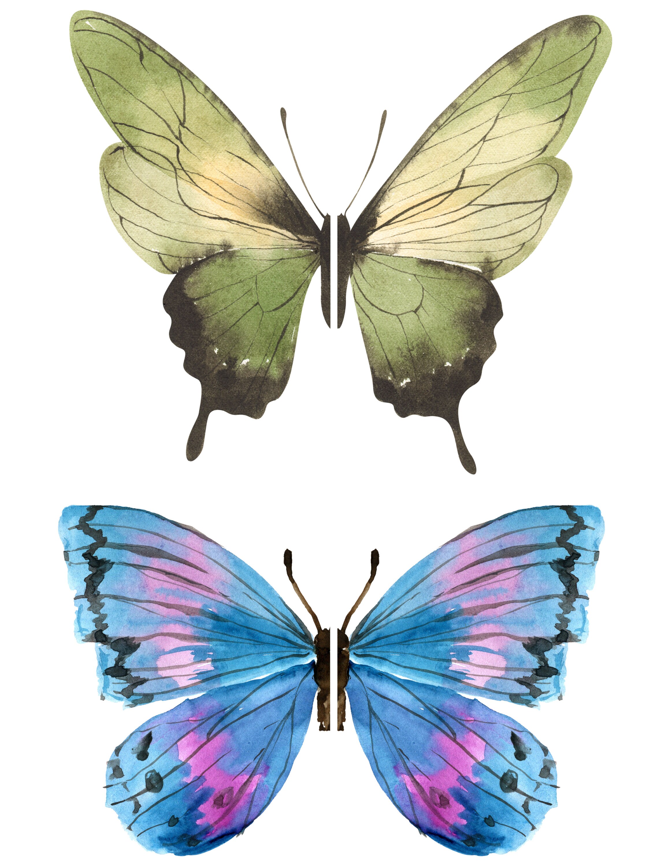 Butterfly Matching Cards - Etsy