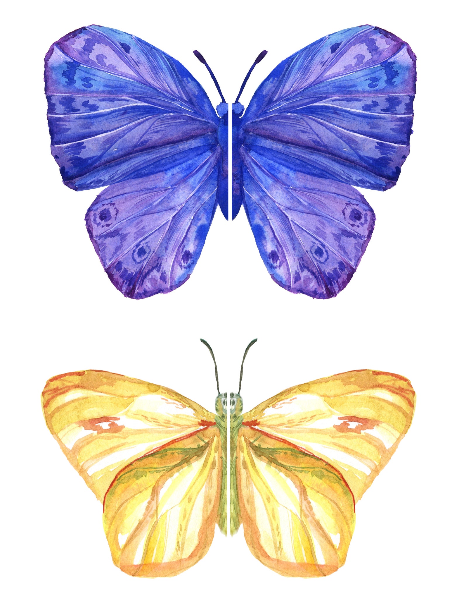 Butterfly Matching Cards - Etsy