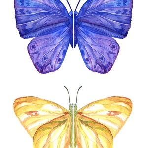 Butterfly Matching Cards - Etsy