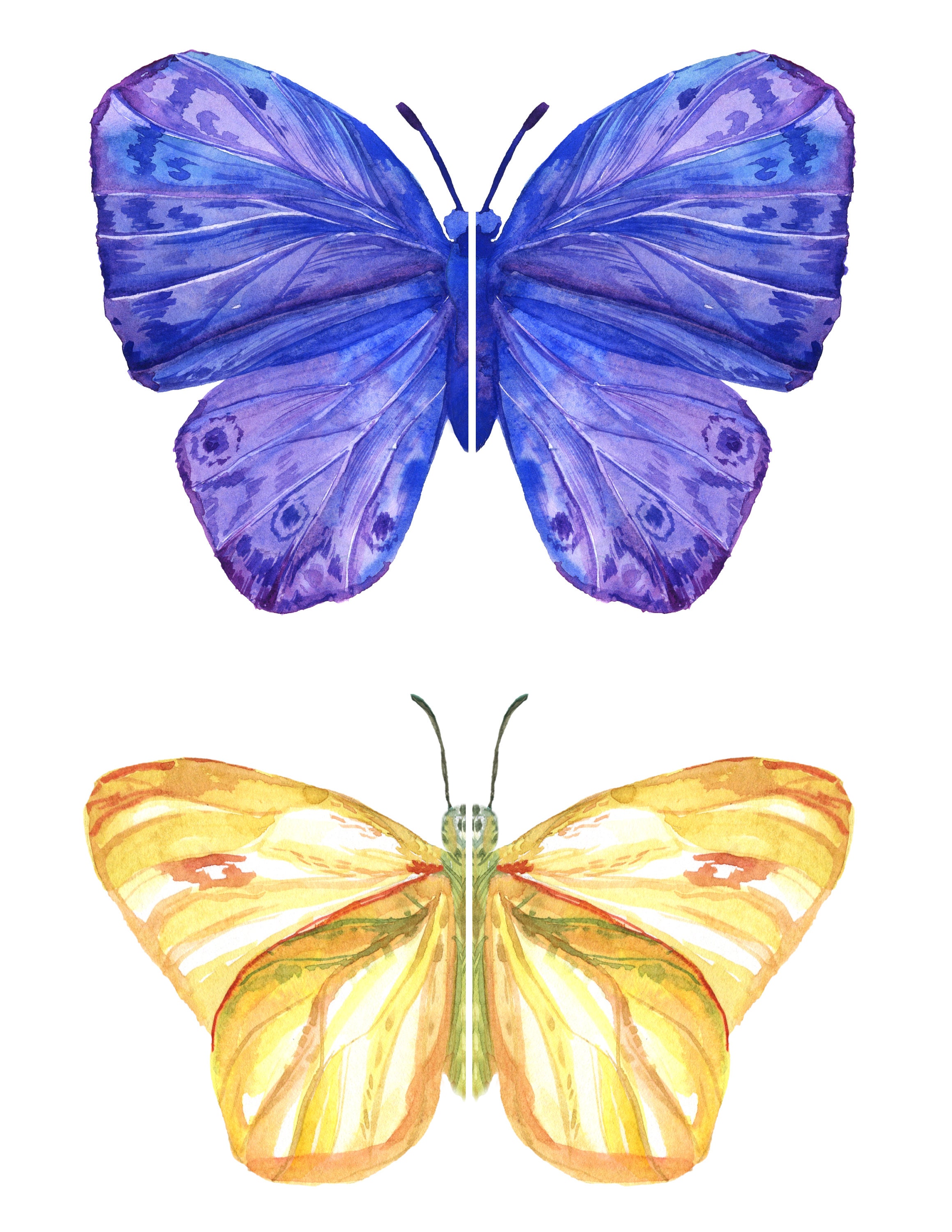 Butterfly Matching Cards - Etsy