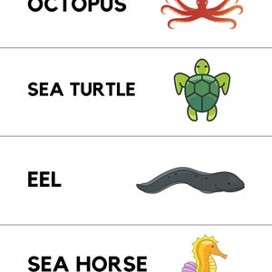 Ocean Theme Word Cards - Etsy