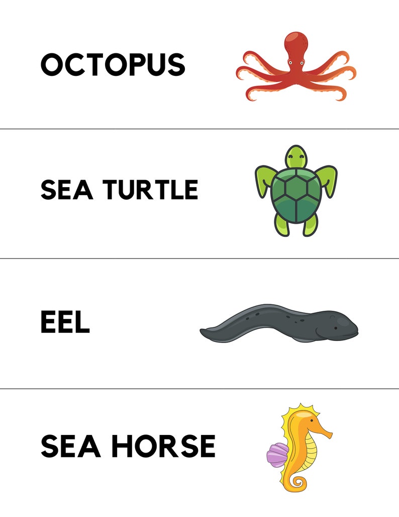 Ocean Theme Word Cards - Etsy