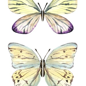 Butterfly Matching Cards - Etsy