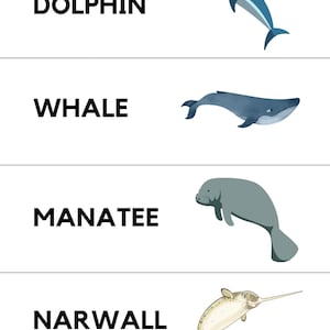 Ocean Theme Word Cards - Etsy