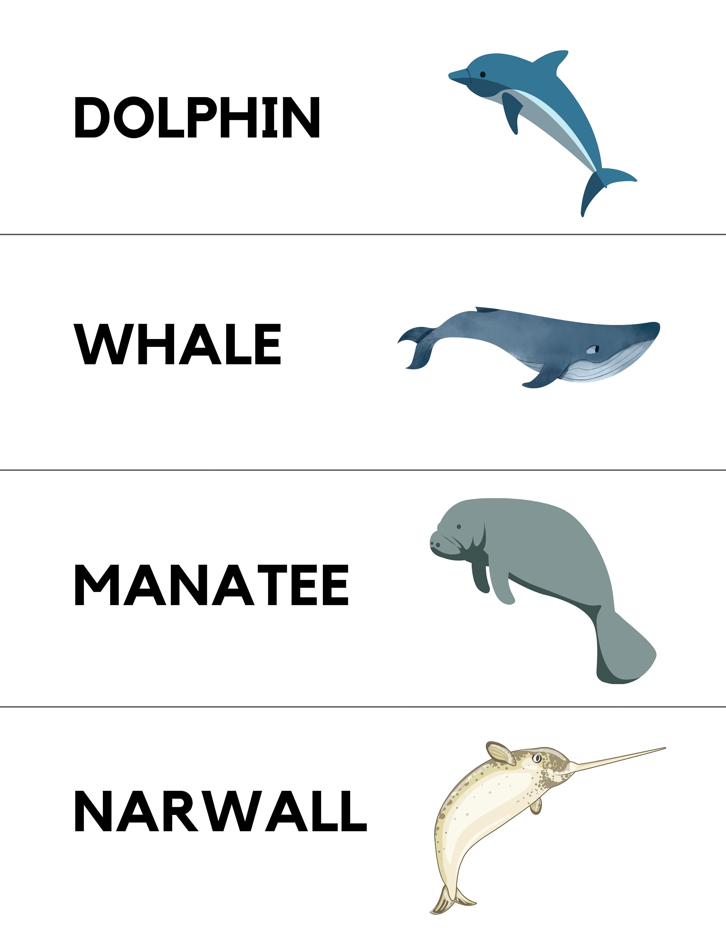 Ocean Theme Word Cards - Etsy