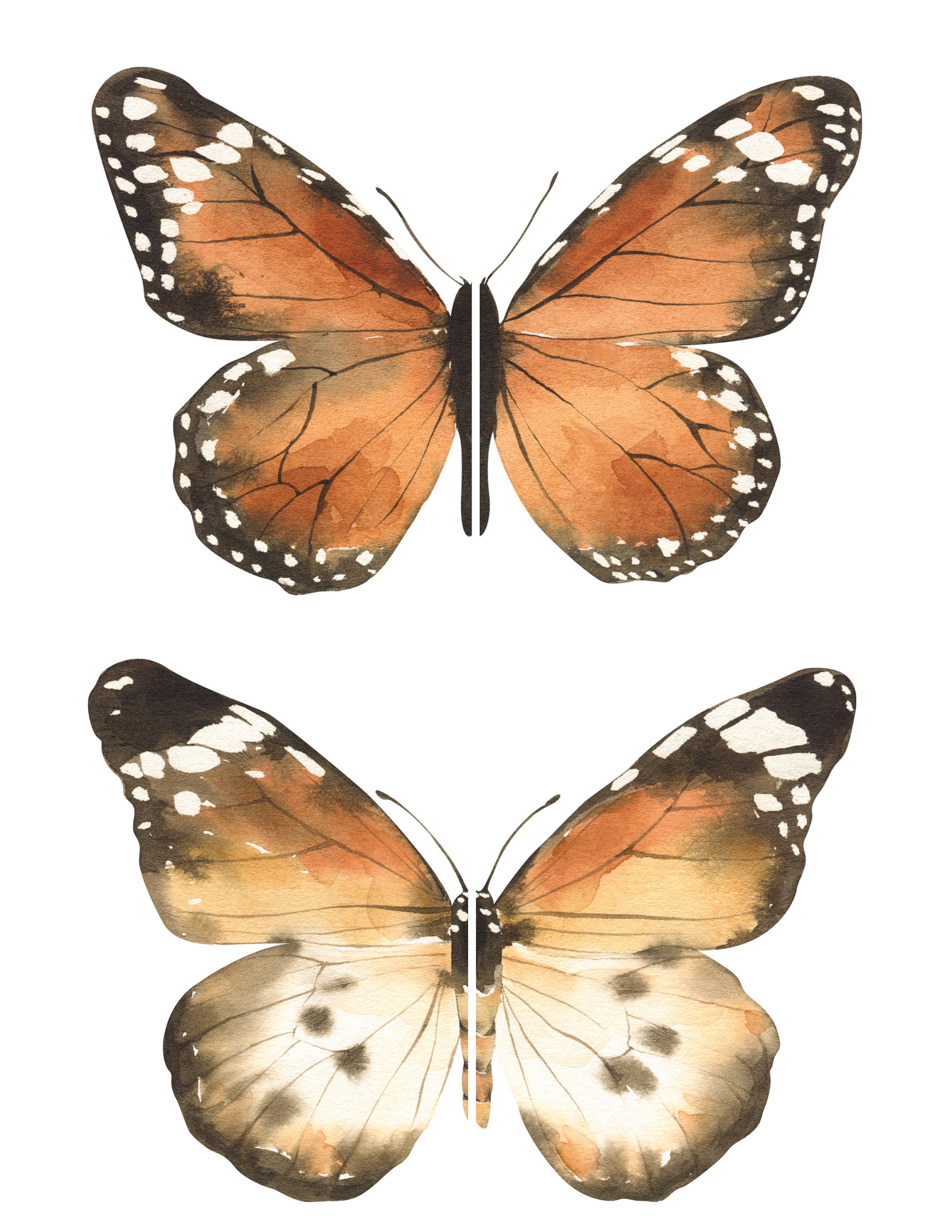 Butterfly Matching Cards - Etsy