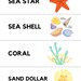 Ocean Theme Word Cards - Etsy