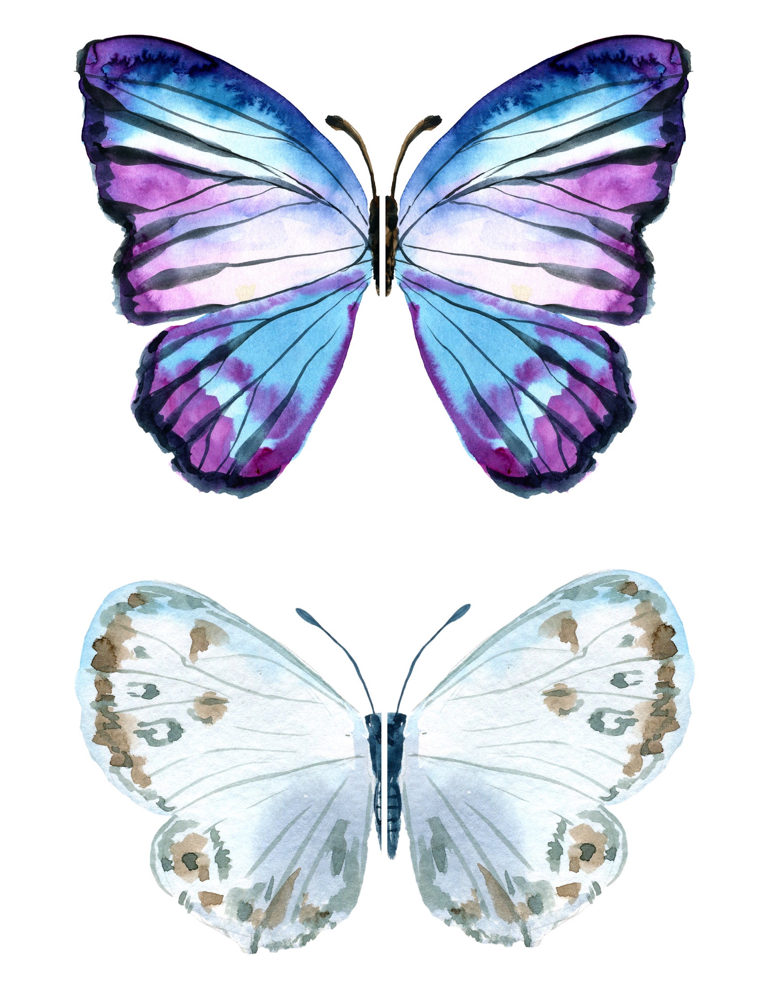 Butterfly Matching Cards - Etsy