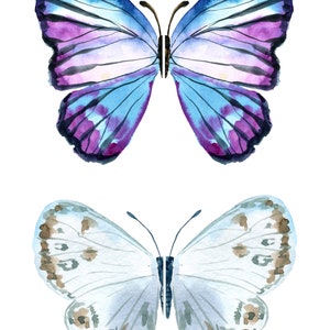 Butterfly Matching Cards - Etsy