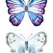 Butterfly Matching Cards - Etsy