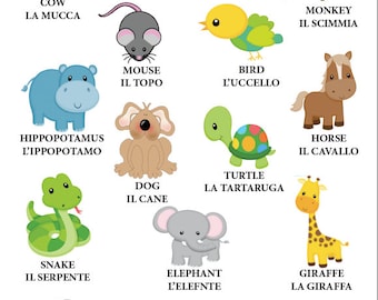 English/Spanish Poster Pack Numbers Animals Colours and | Etsy