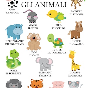 English/italian Poster Pack- Numbers, Animals, Colours and Months - Etsy