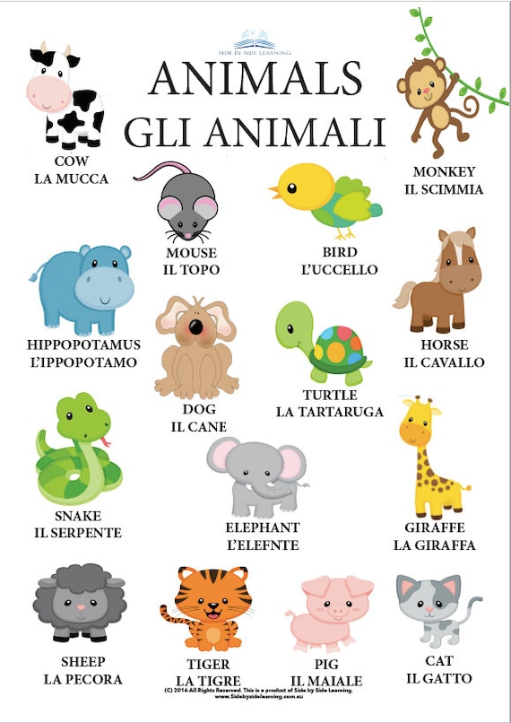 English/italian Poster Pack Numbers Animals Colours and | Etsy