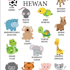 English/bahasa Indonesia Poster Pack- Numbers, Animals, Colours and ...
