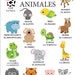 English/spanish Poster Pack- Numbers, Animals, Colours and Months - Etsy