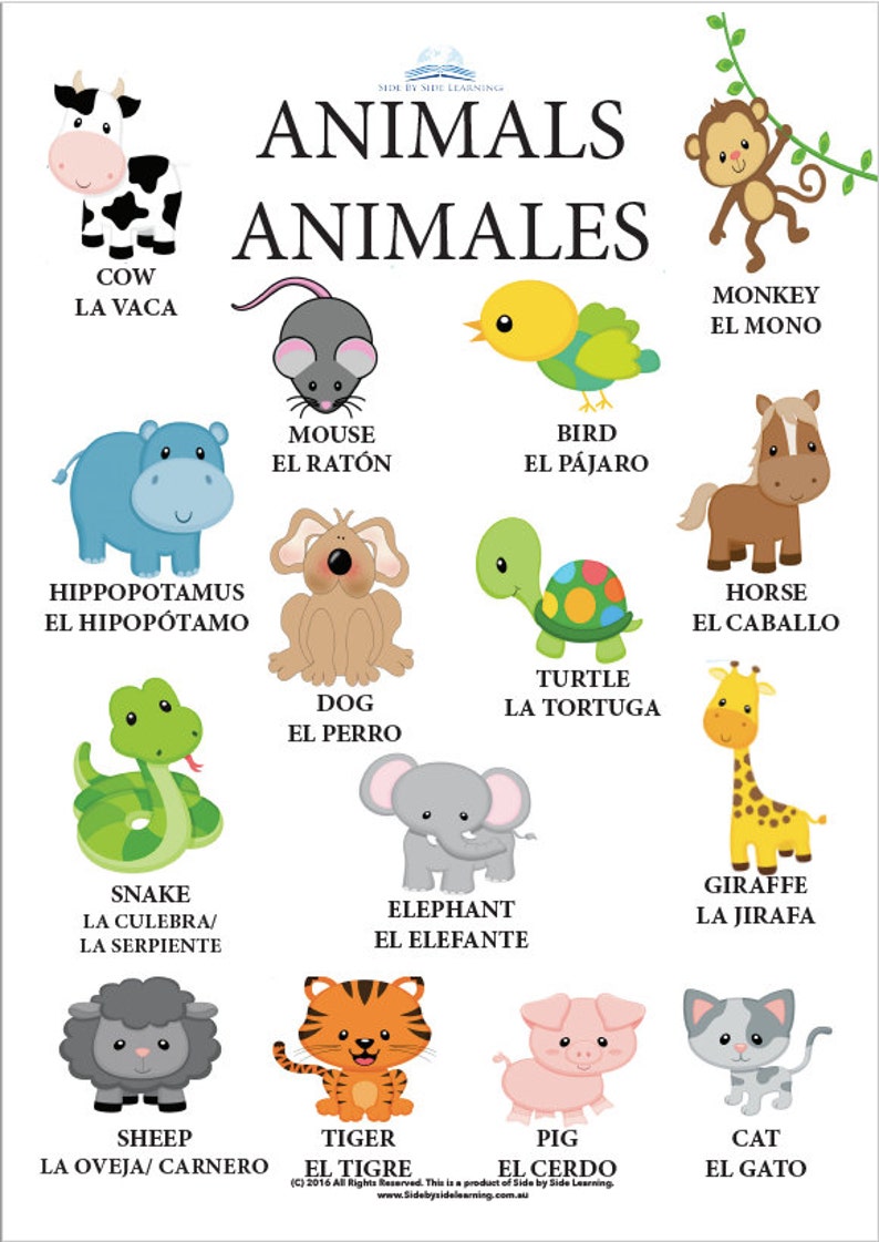 English/spanish Poster Pack- Numbers, Animals, Colours and Months - Etsy