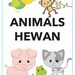 English/bahasa Indonesia Flash Cards - Numbers, Animals, Colours and ...
