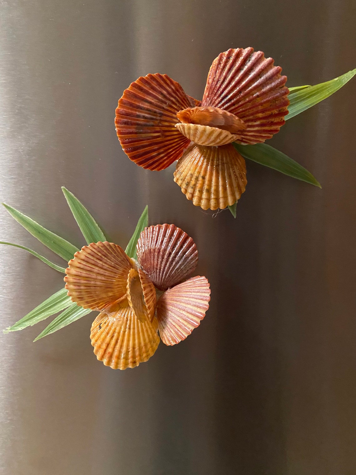 Scallop Shell Flower Magnets - Etsy