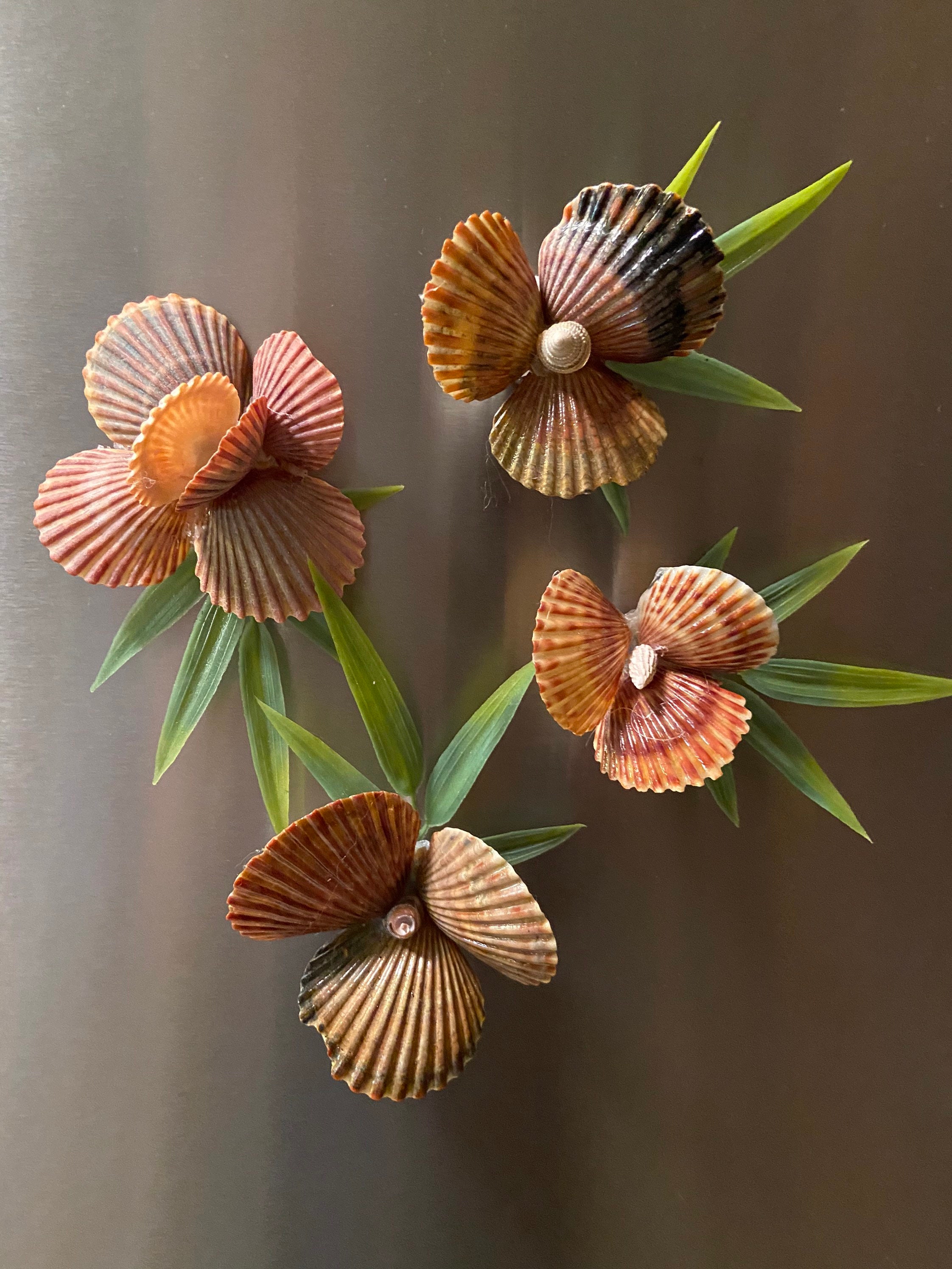Scallop Shell Flower Magnets - Etsy