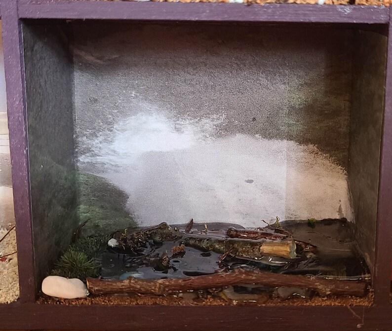 One of a Kind Handcrafted Miniature Shadowbox Terrain Display for ...