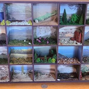 One of a Kind Handcrafted Miniature Shadowbox Terrain Display for ...