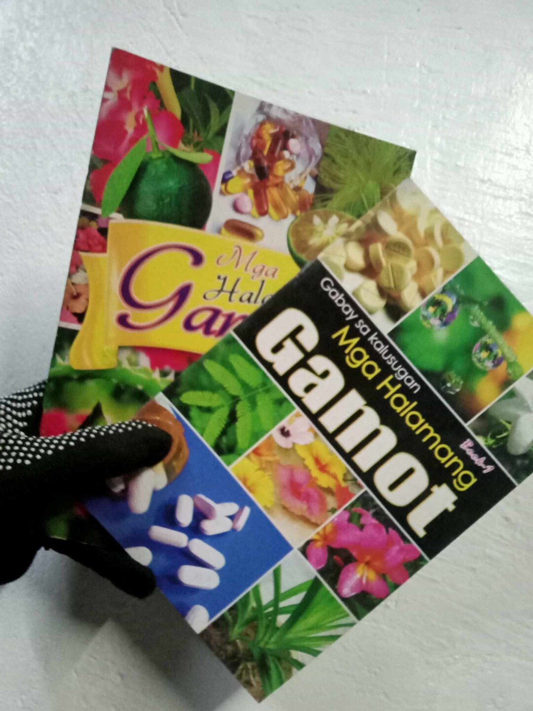 Set of 2 Mga Halamang Gamot medicinal Herbs Educational Tagalog ...