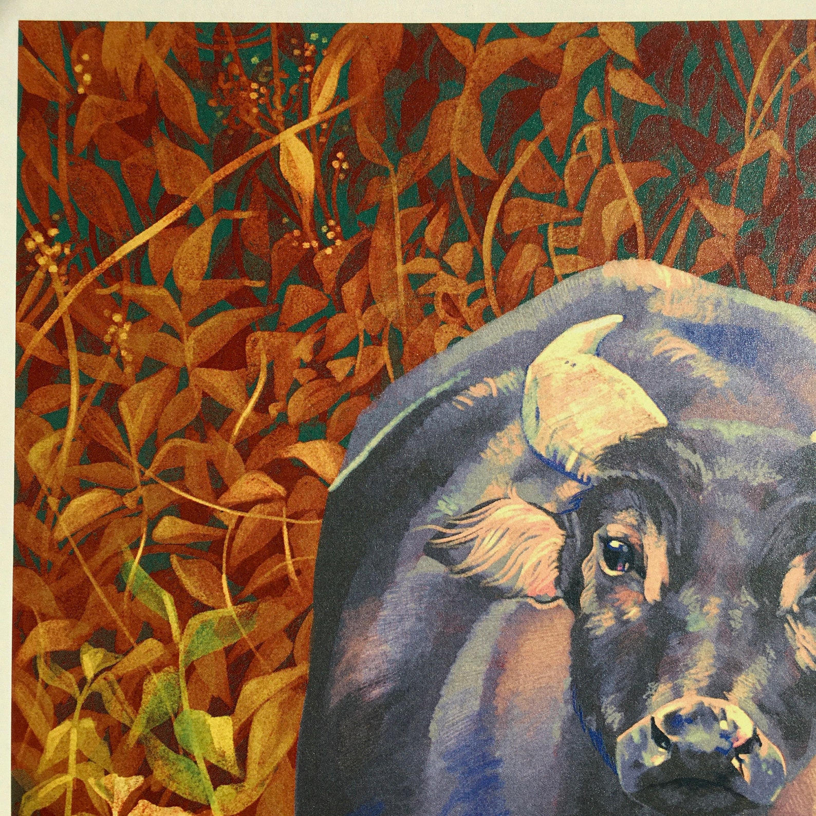 The Tamaraw Illustration Art Print on 100% Recycled Paper | Etsy