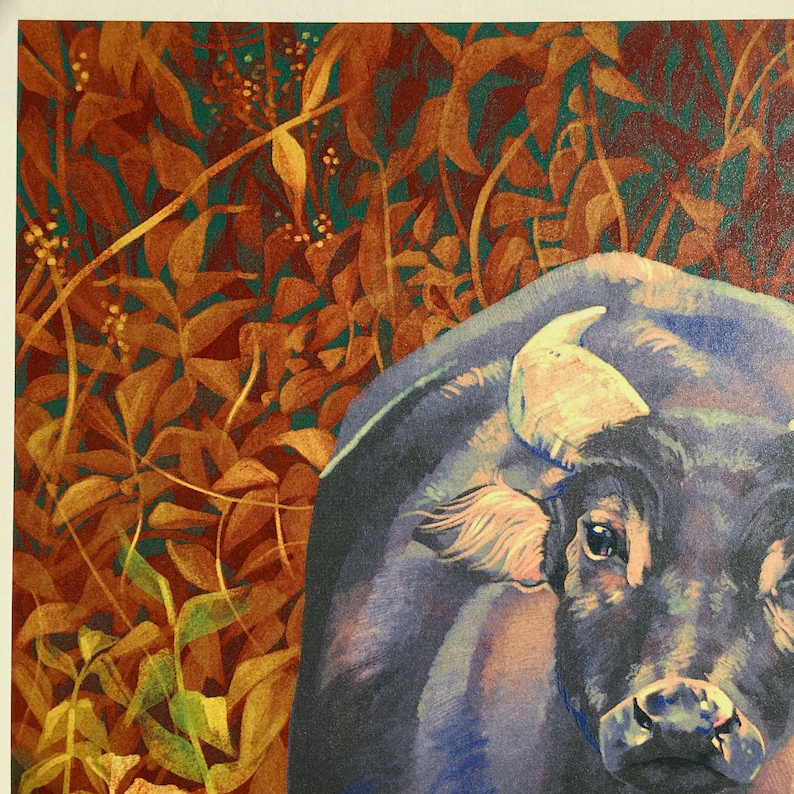 The Tamaraw - A4 Illustration Art Print on 100% Recycled Paper ...