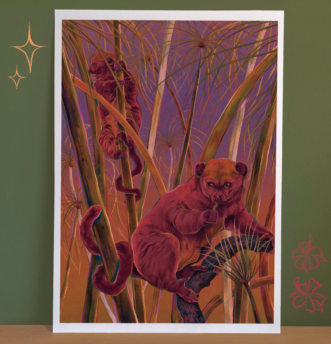 The Alaotra Reed Lemur - A4 Illustration Art Print on 100% Recycled ...