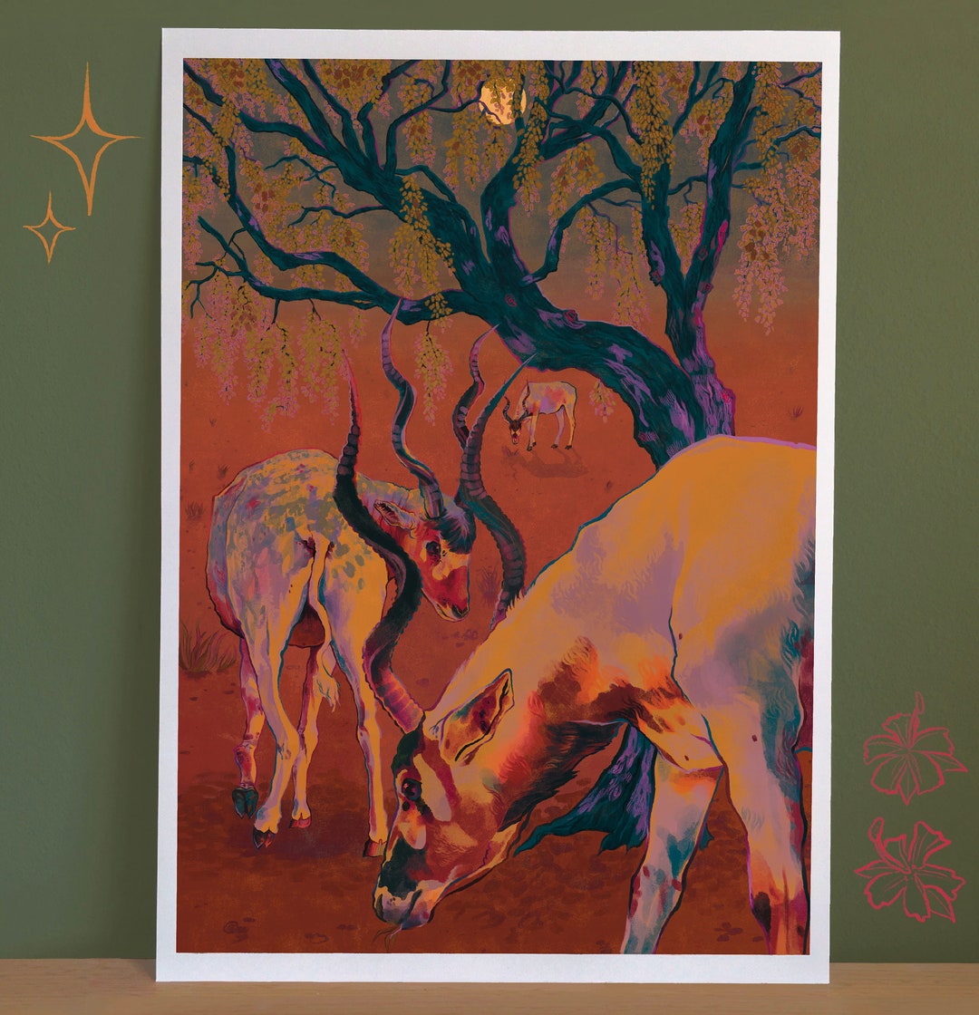 The Addax - A4 Illustration Art Print on 100% Recycled Paper ...