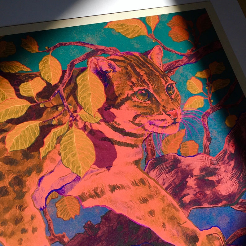 The Iriomote Cat A4 Illustration Art Print on 100% Recycled - Etsy