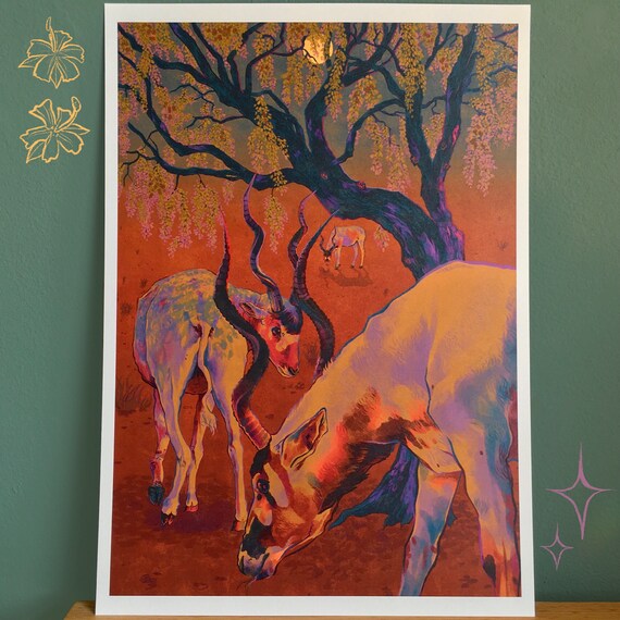 The Addax A4 Illustration Art Print on 100% Recycled Paper - Etsy