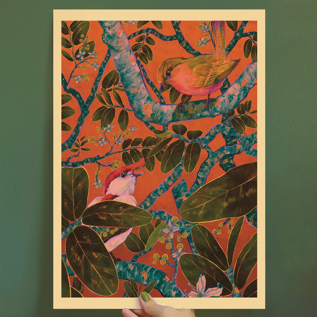 The Araripe Manakin Birds A3 Fine Art Giclée Print, Critically ...