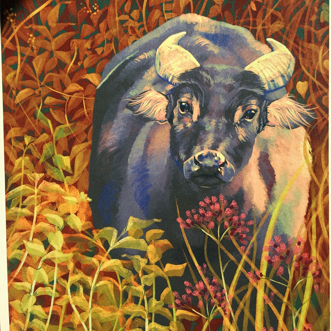 The Tamaraw A4 Illustration Art Print on 100% Recycled Paper - Etsy