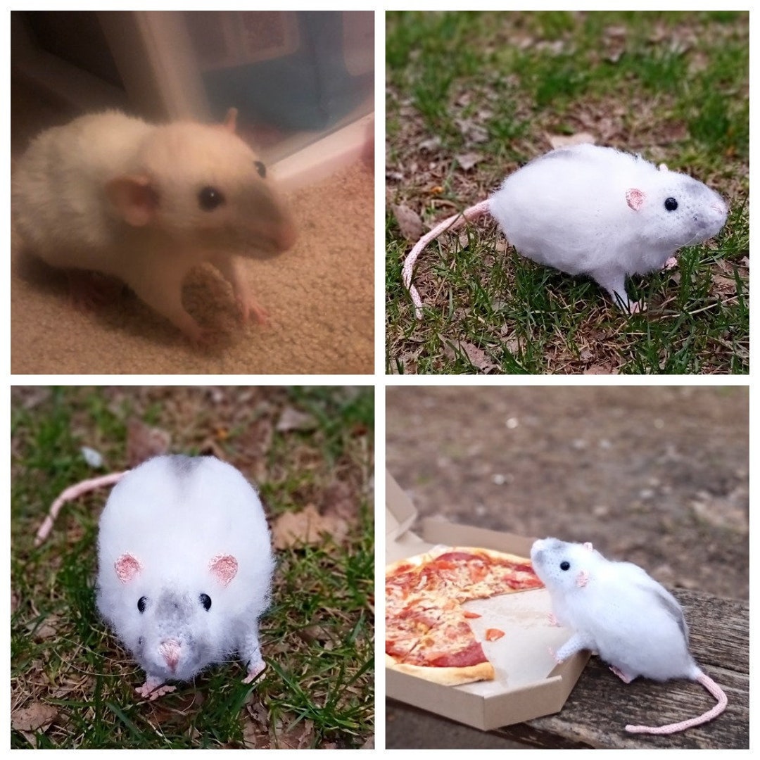 Realistic Rat Replica Custom Pet Stuffed Animal Mouse Looks Like Your ...