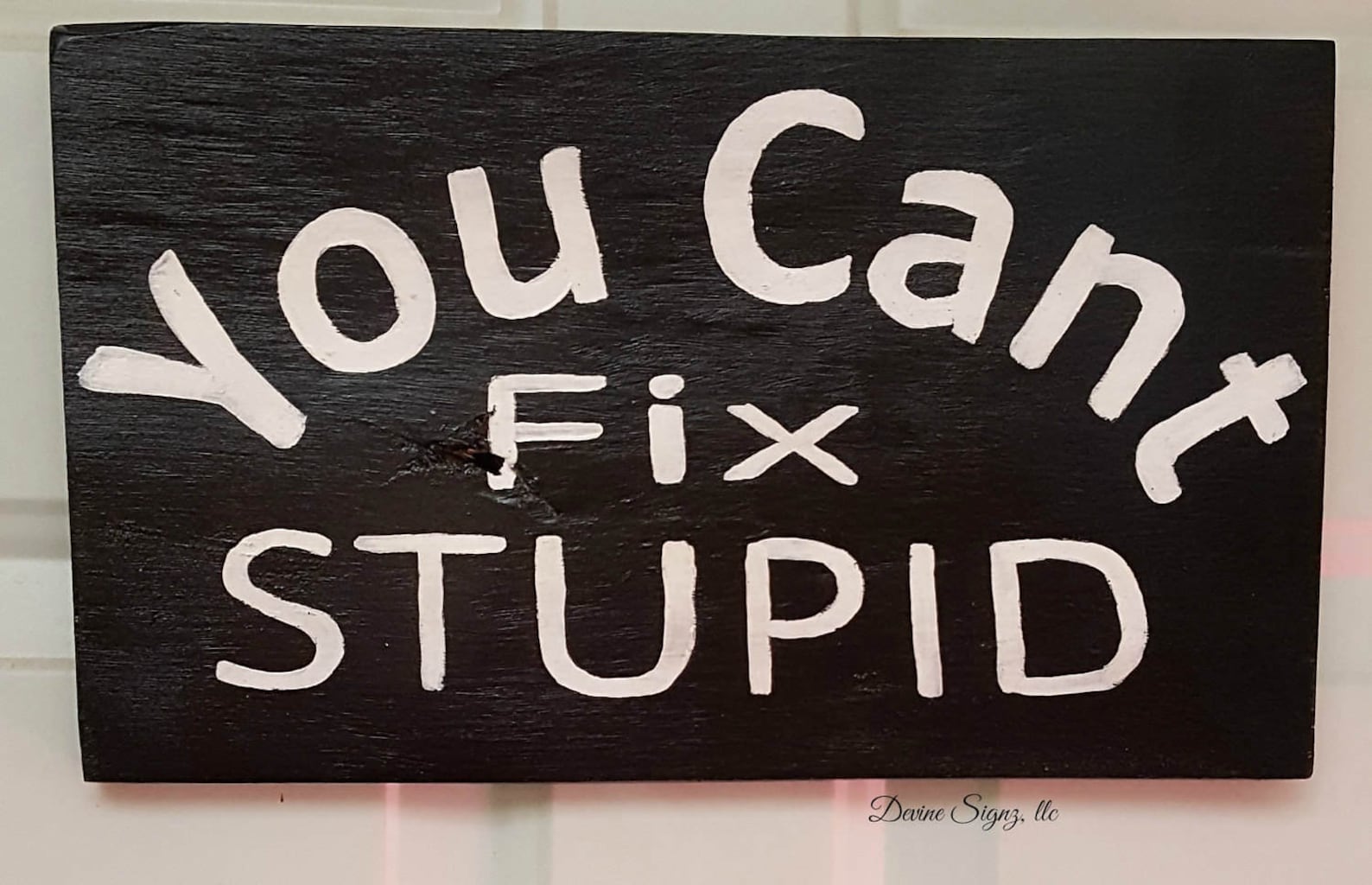 You Cant Fix Stupid Sign Silly Sayings and Quotes Humorous - Etsy