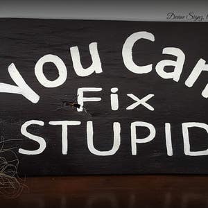 You Cant Fix Stupid Sign Silly Sayings and Quotes Humorous - Etsy