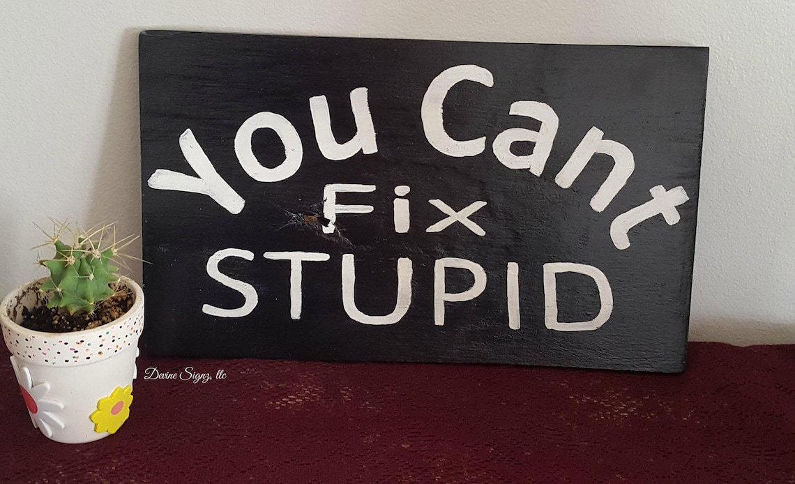 You Cant Fix Stupid Sign Silly Sayings and Quotes Humorous - Etsy
