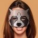 Raccoon Mask Printable, Paper DIY for Kids and Adults. PDF Template ...
