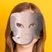 Elephant Mask Printable, Paper DIY for Kids and Adults. PDF Template ...