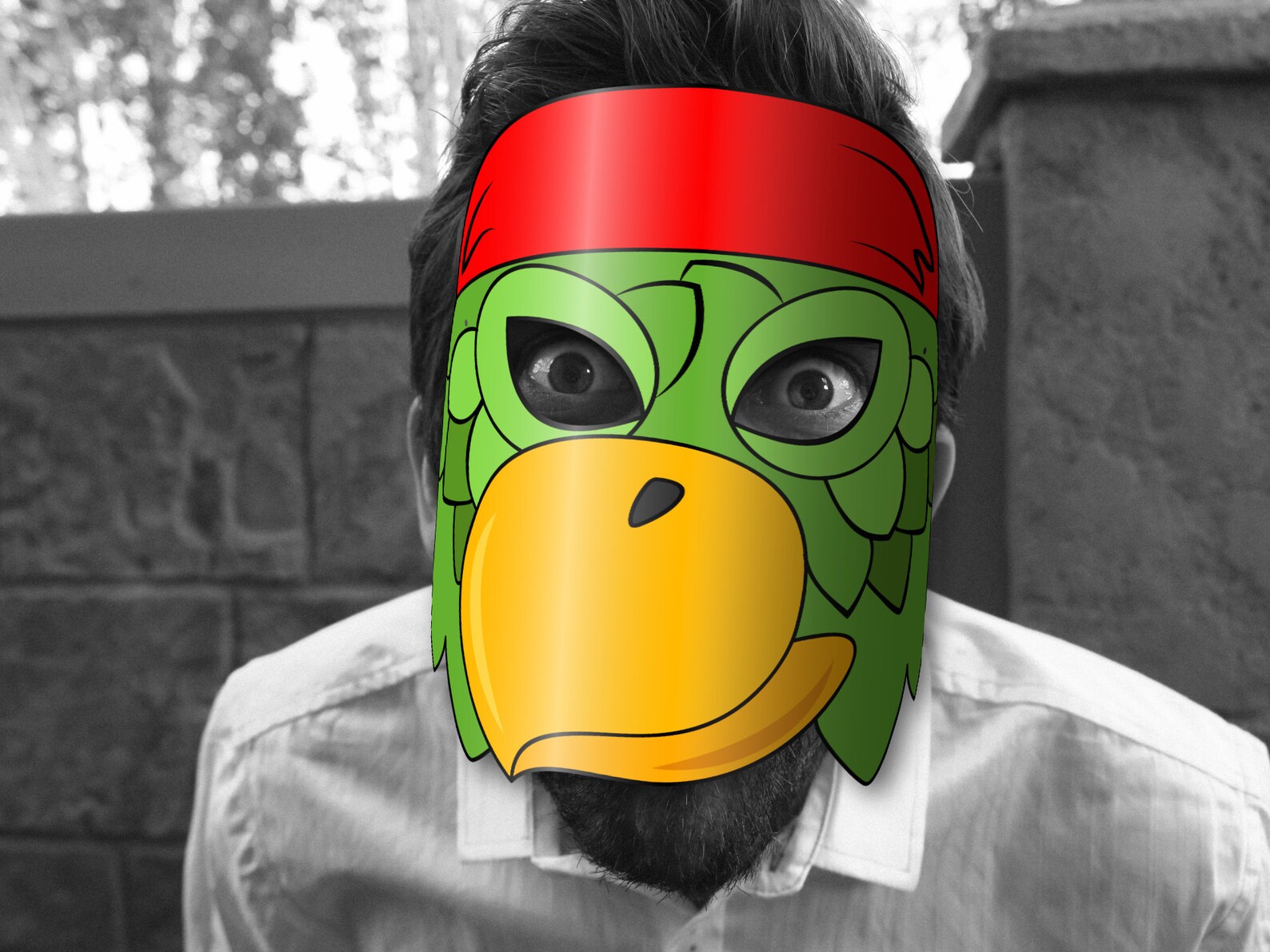 Pirate's Parrot Mask Printable Paper DIY for Kids and - Etsy