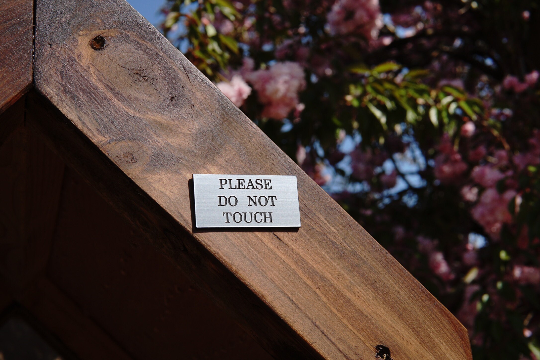 Small Engraved Plaque 50 X 25mm Brushed Brass Effect or | Etsy
