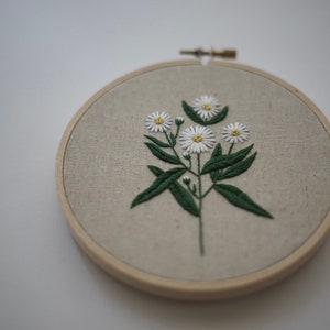 Aster Flower Hand Embroidery Pattern - PDF - Instant Download - Etsy